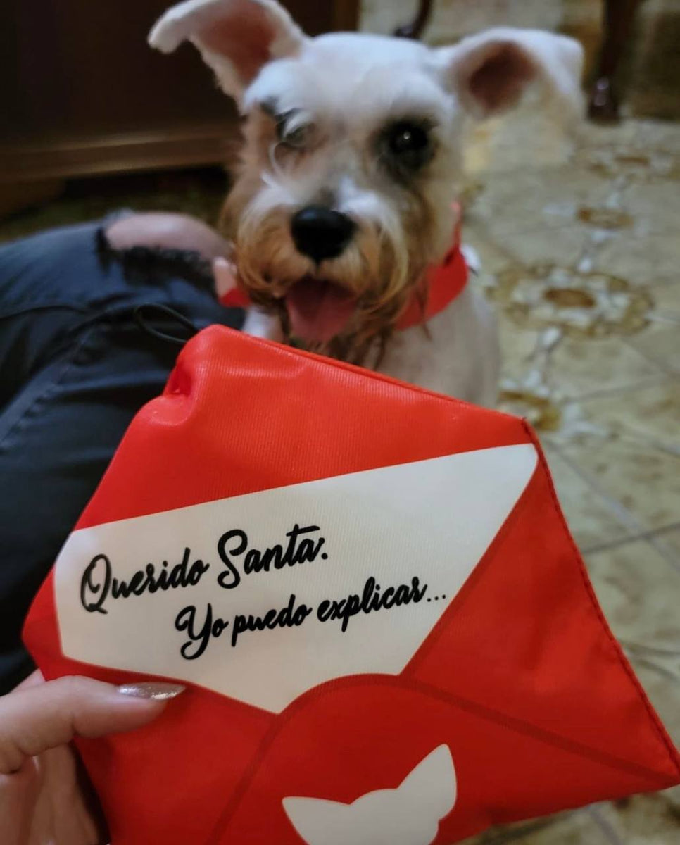 Querido Santa | Dear Santa Paws Letter Stuffed Dog Toy