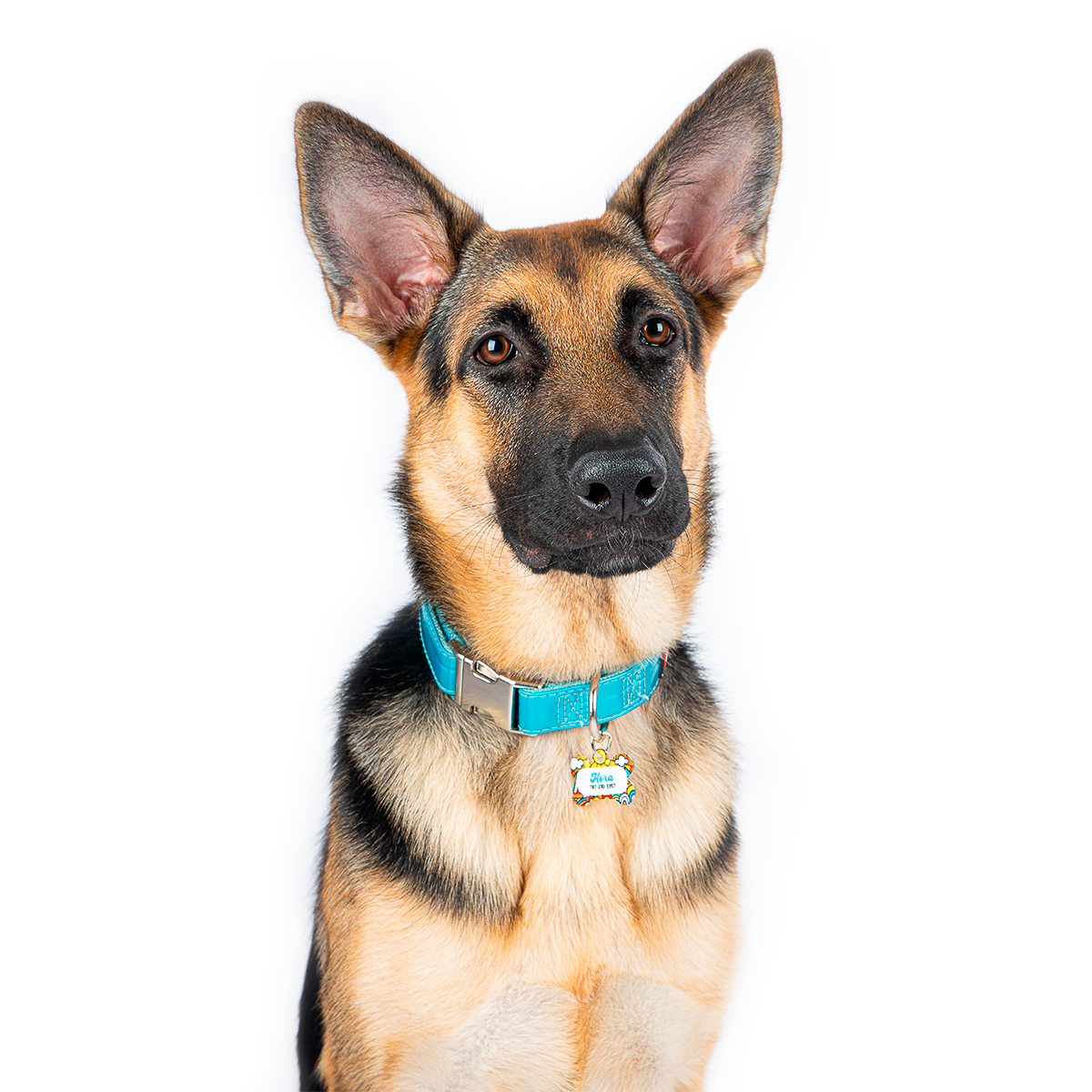 Personalized Dog Tags - Made in Puerto Rico | Toy Doggie™